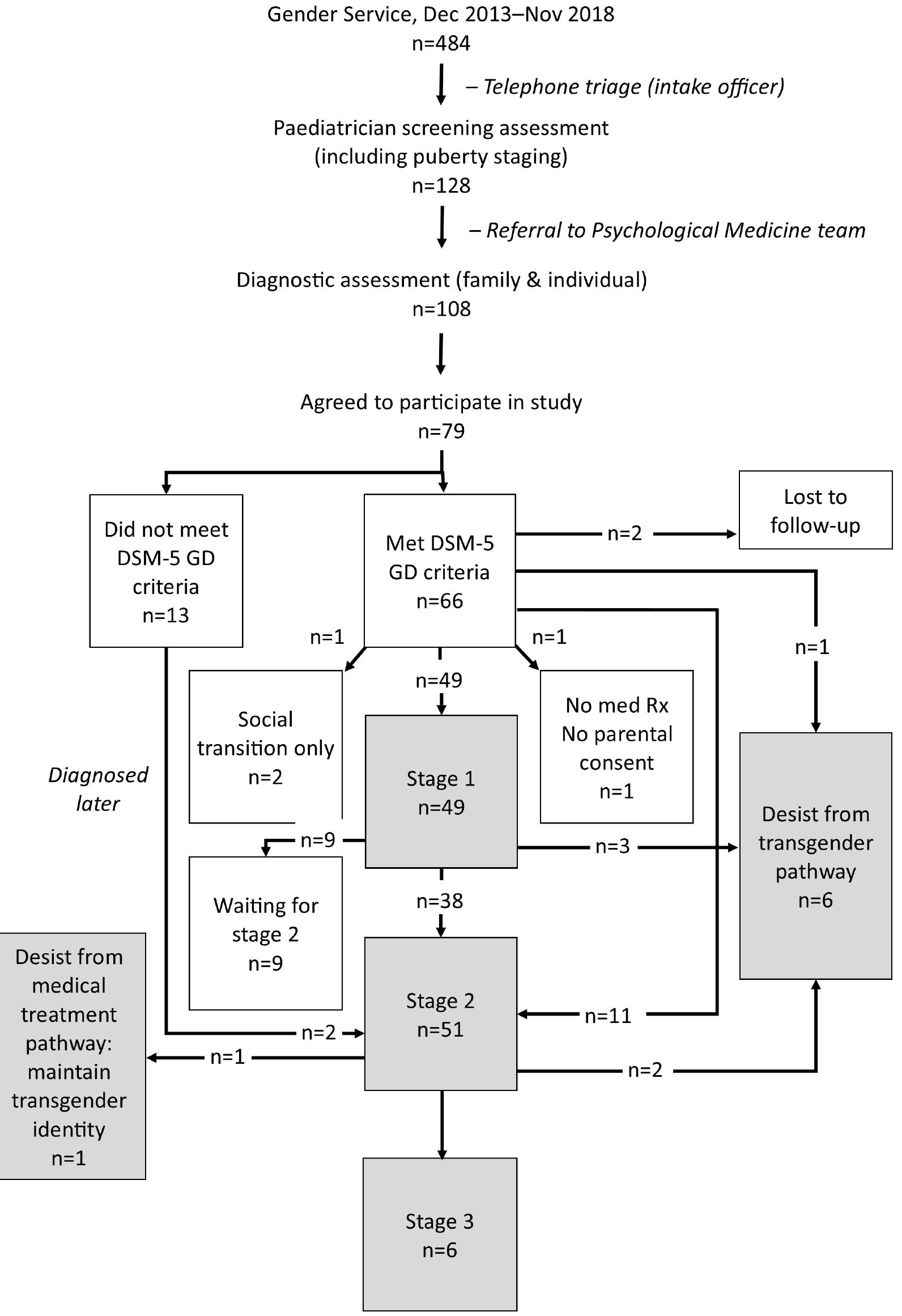 Flow chart summarising the triage, assessment, and treatment