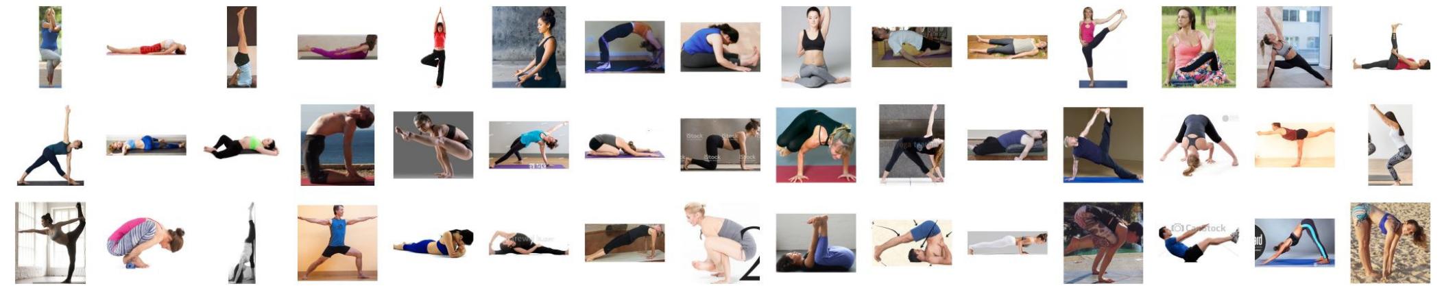 An overview of 45 categories of yoga poses in dataset a.