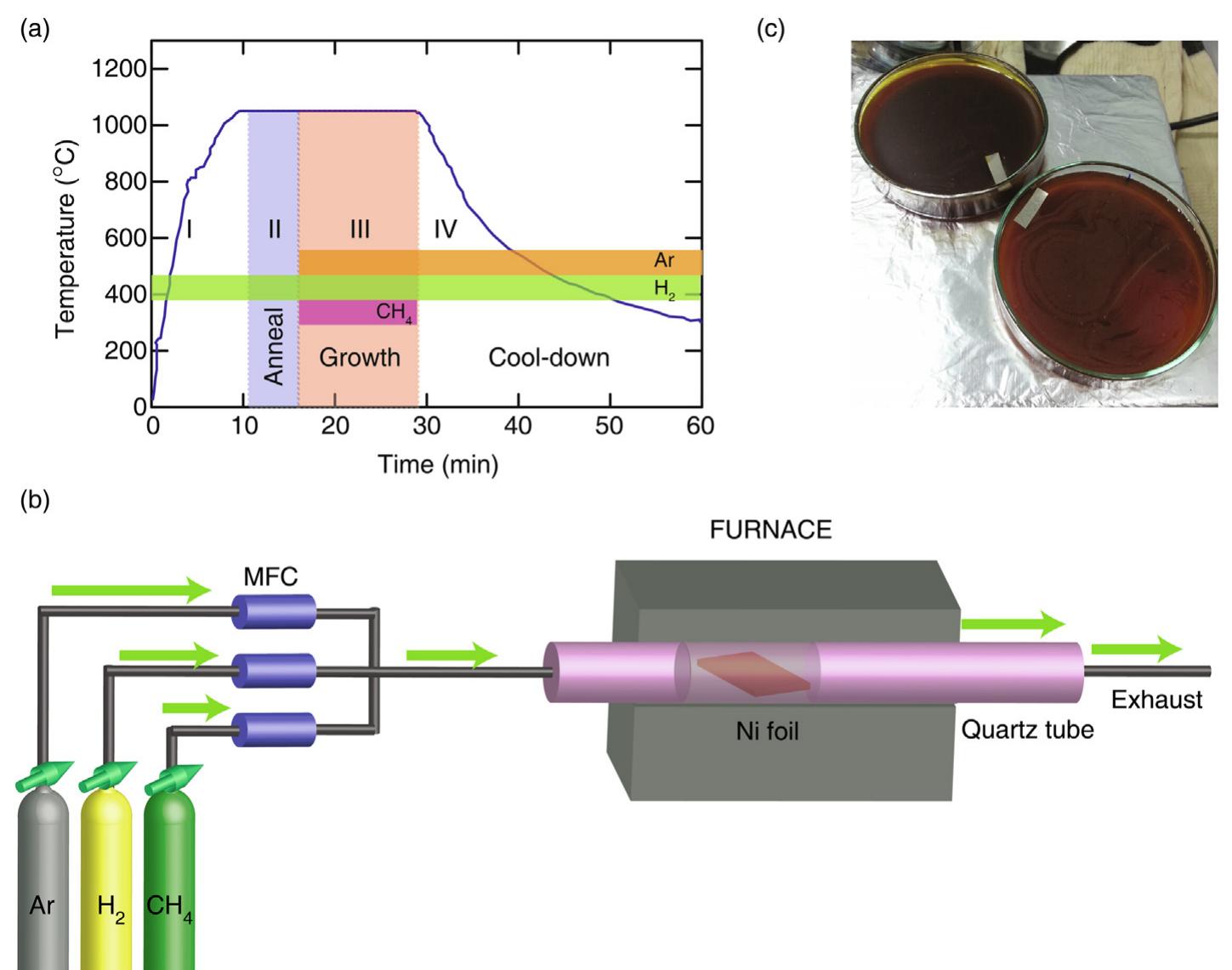 (a) the schematic process showing the temperature profile