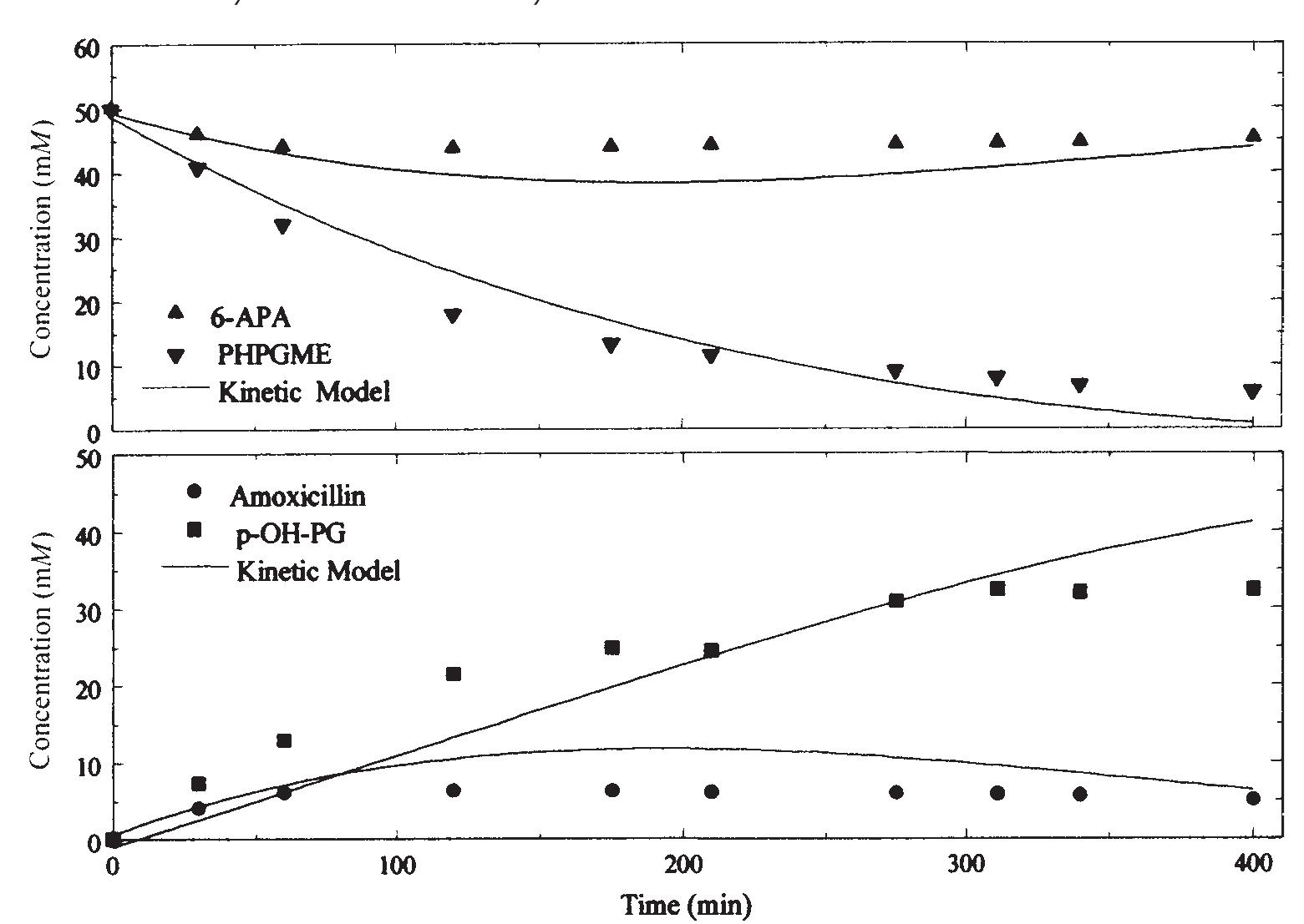 Amoxicillin synthesis at 25°c, ph 7.5, and 5 ml of 10 ui/ml