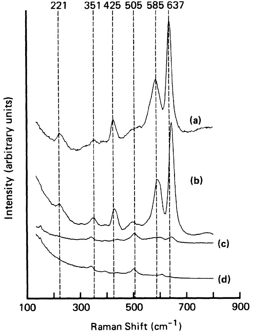 Raman spectra of the following samples: (a) ba- cuo2, (b)
