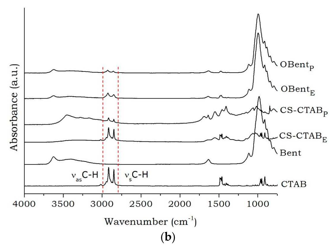 Ftir spectra of (a) pure cs and (b) ctab salt, bent clay,