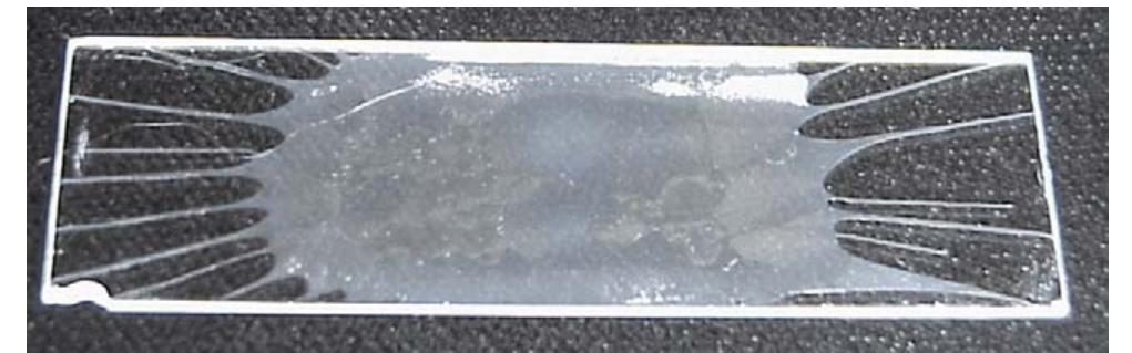 Cellulose film spin-cast onto a quartz substrate. the image