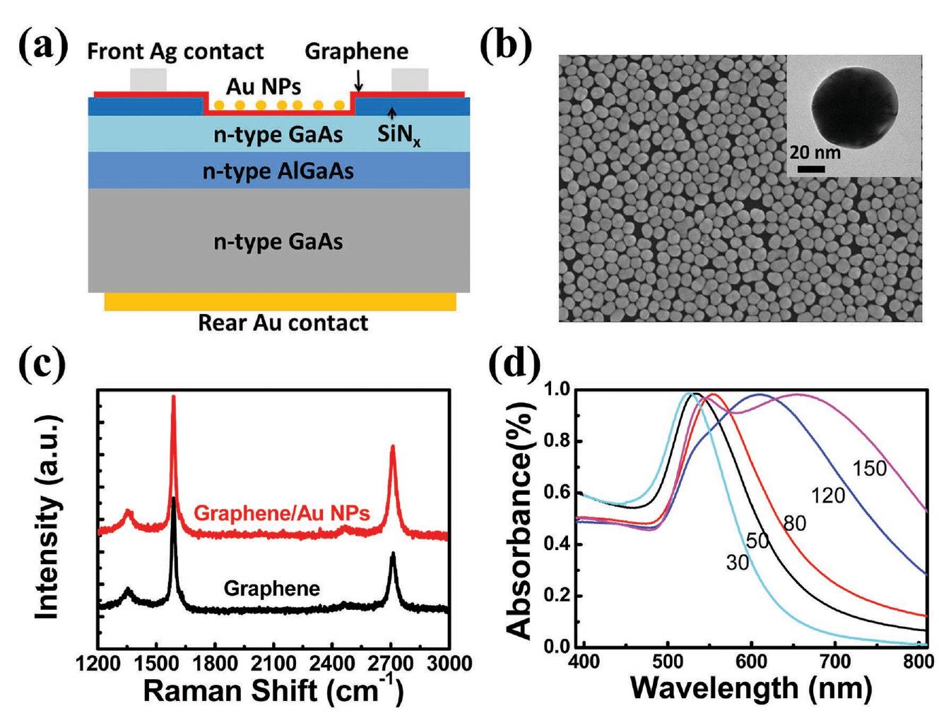 A) schematic structure of the surface plasmon-enhanced