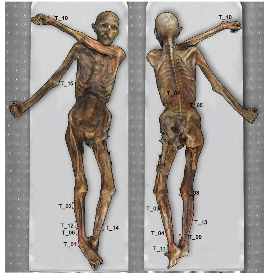 Graph showing the mapping of all of the tattoos present on