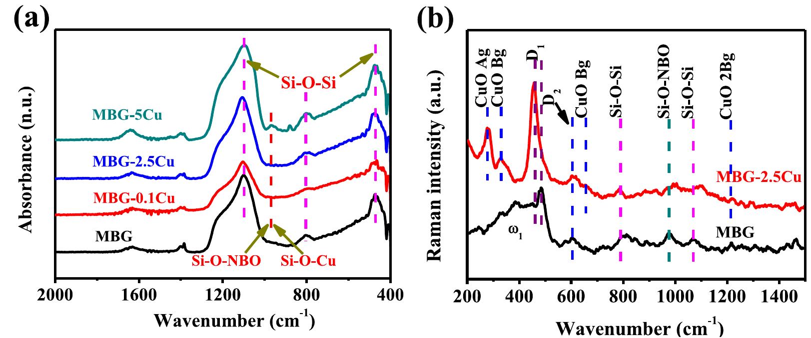 Ftir (a) and raman (b) spectra of the 3d cu-doped mbg