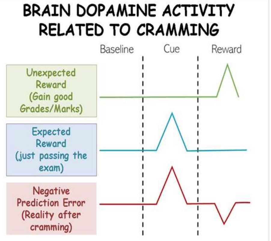 (PDF) Study the Impact of Cramming in Medical Students