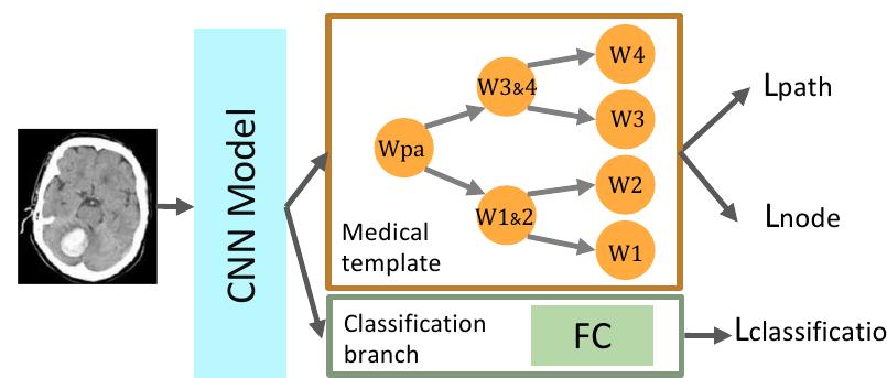Me-ndt consists of a cnn and a tree structure for medical