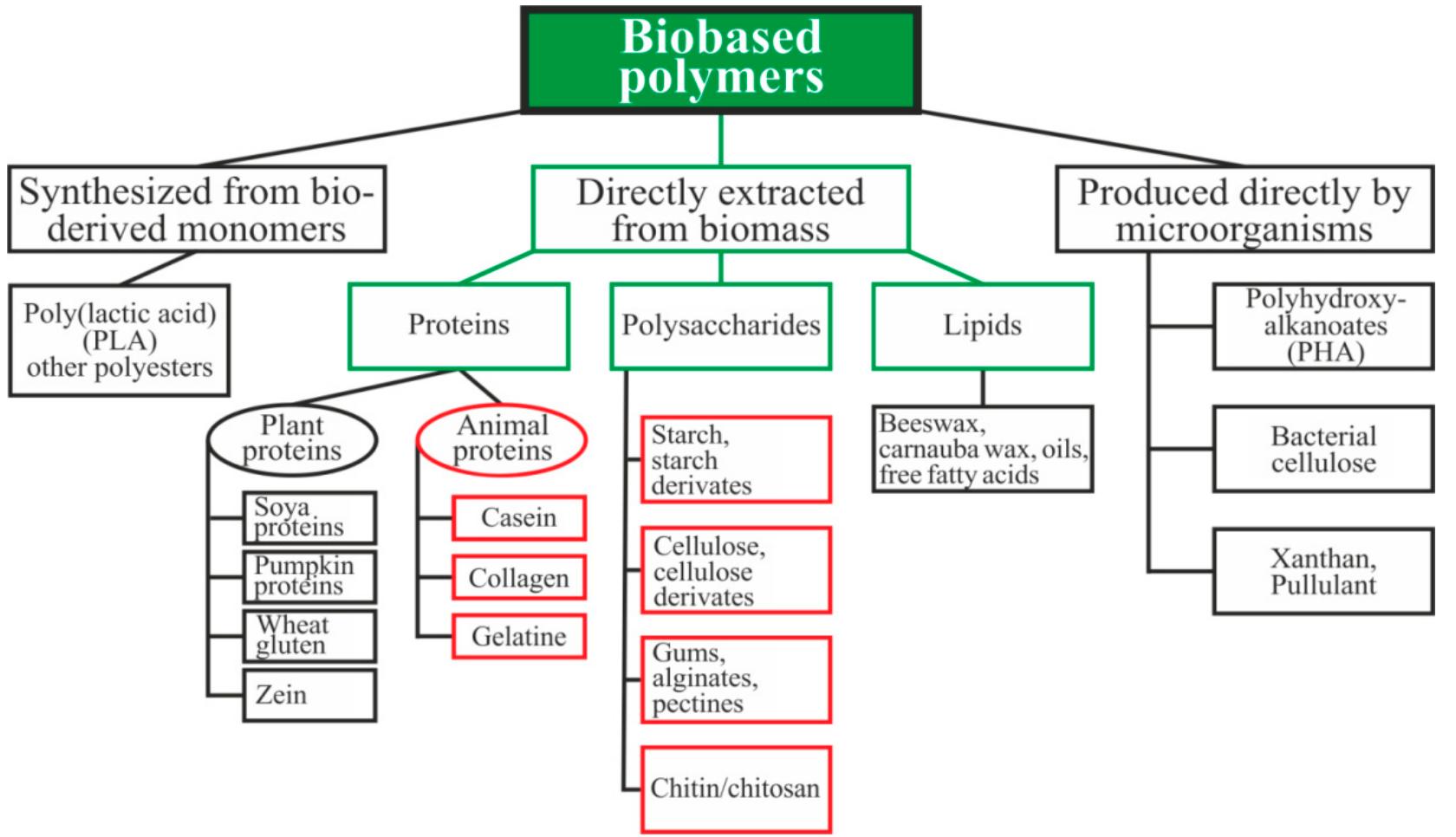 Schematic classification of biopolymer types [15,18,19].