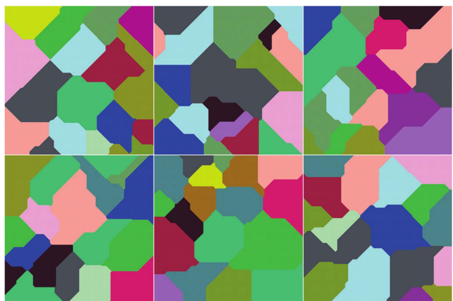 Examples of grain structures generate by discrete voronoi