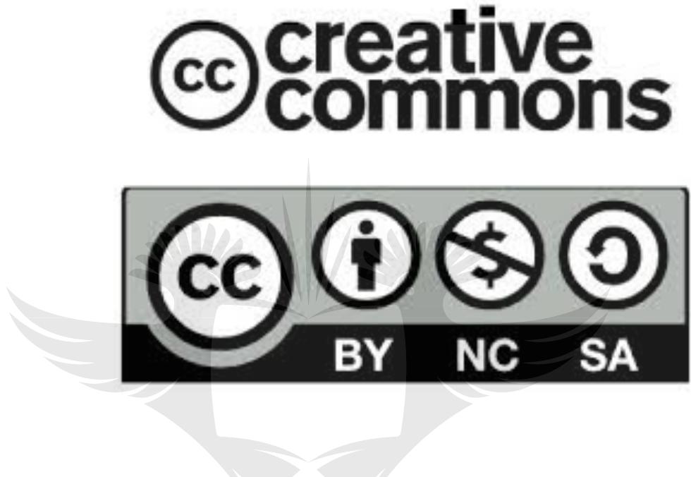 Figure 1 - The Cape Corps : South Africa’s Coloured soldiers