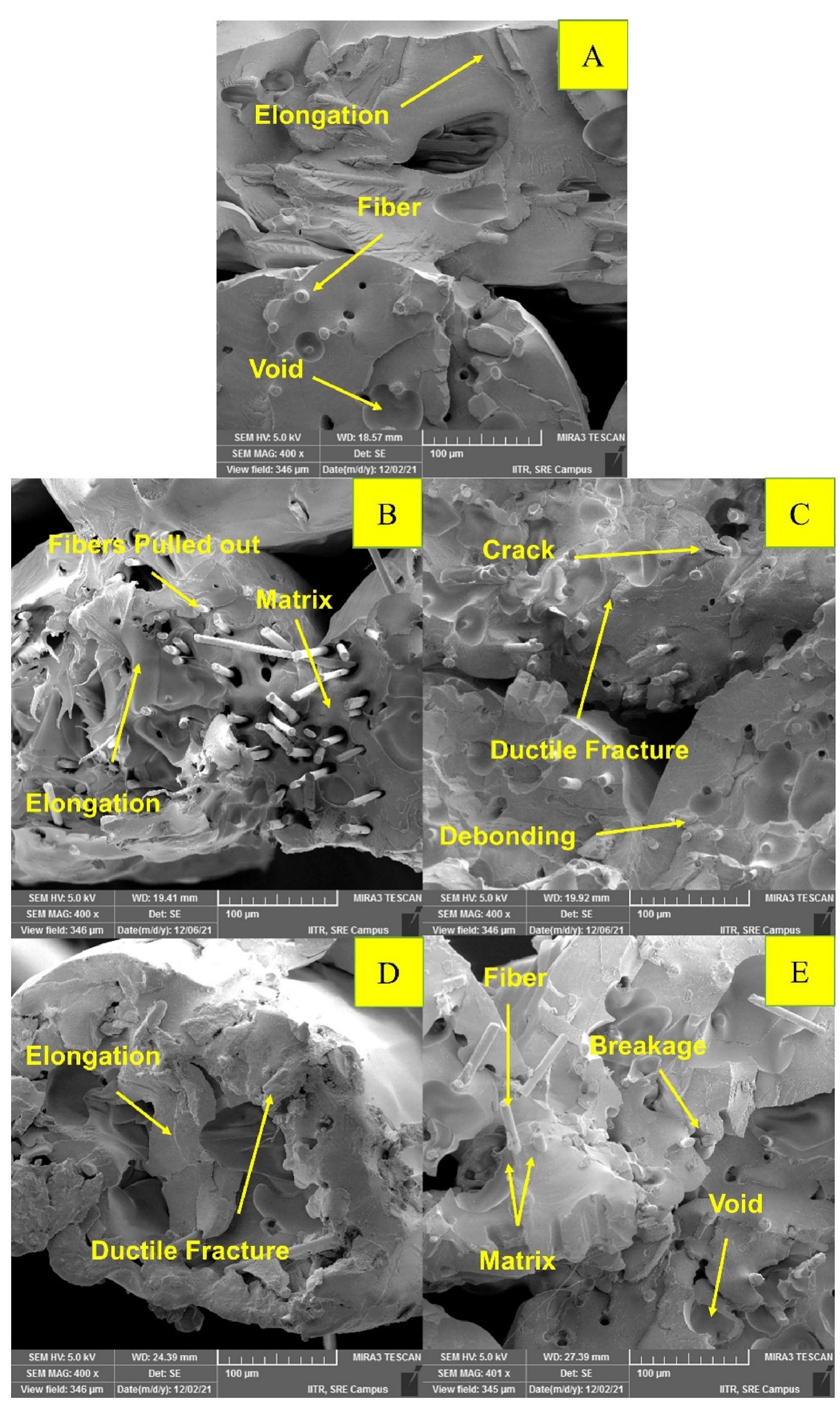 ‘ig. 4. sem morphology of the fractured surface from
