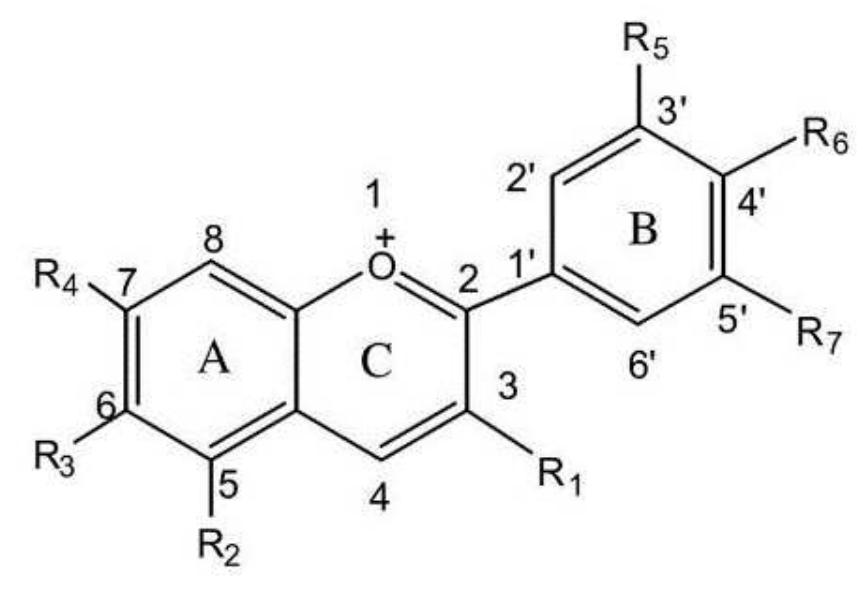 Structure anthocyanin (castafieda-ovando et al., a