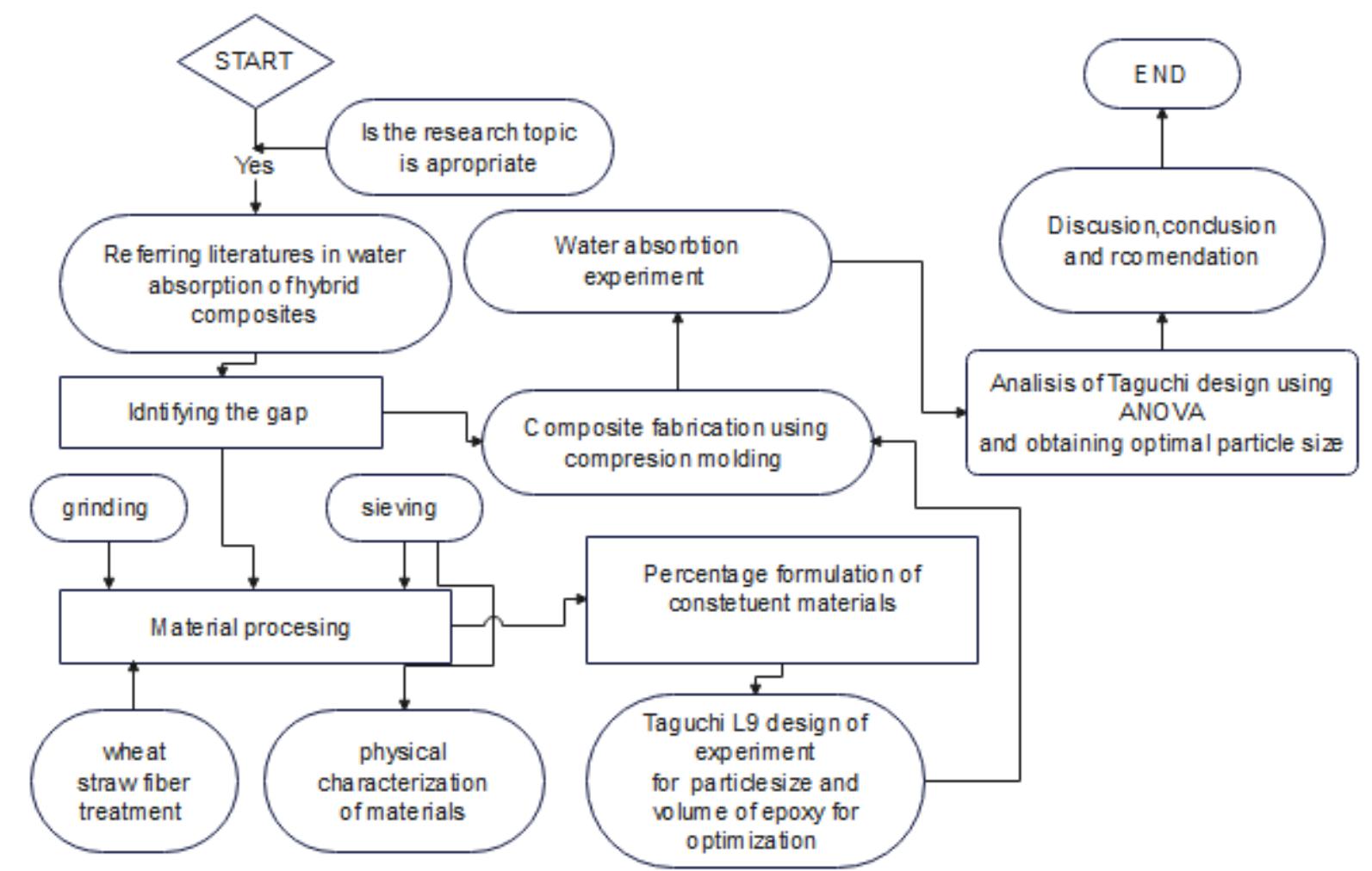Schematic diagram of the overall experimental procedures.