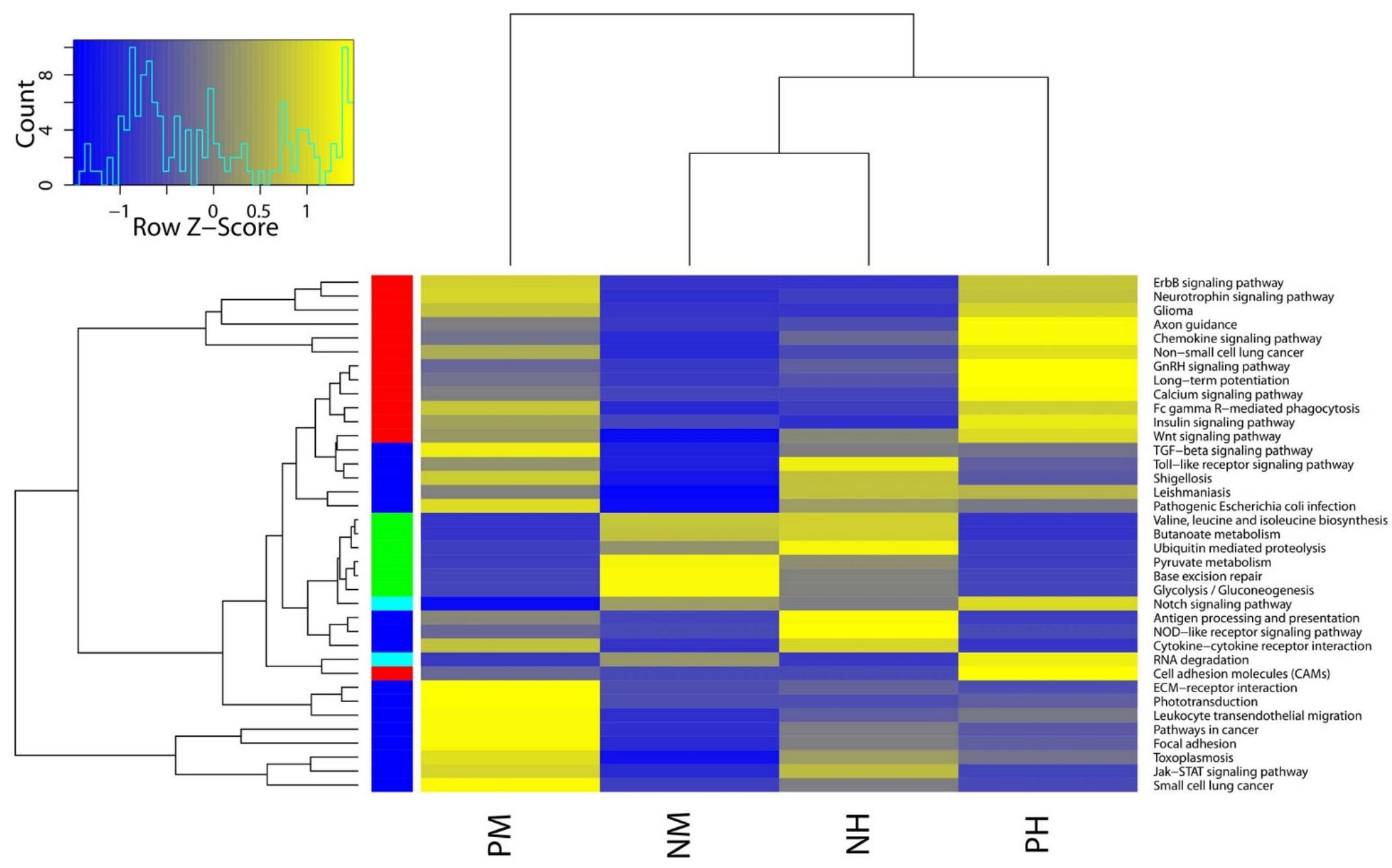 | heatmap of evidence for enrichment of kegg pathways in