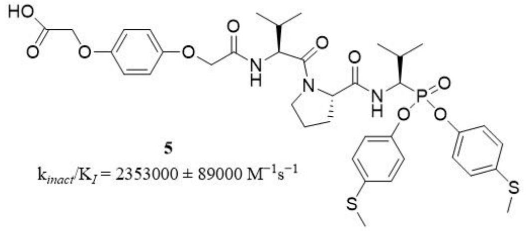 Structure of irreversible hne inhibitor”), figure 4.