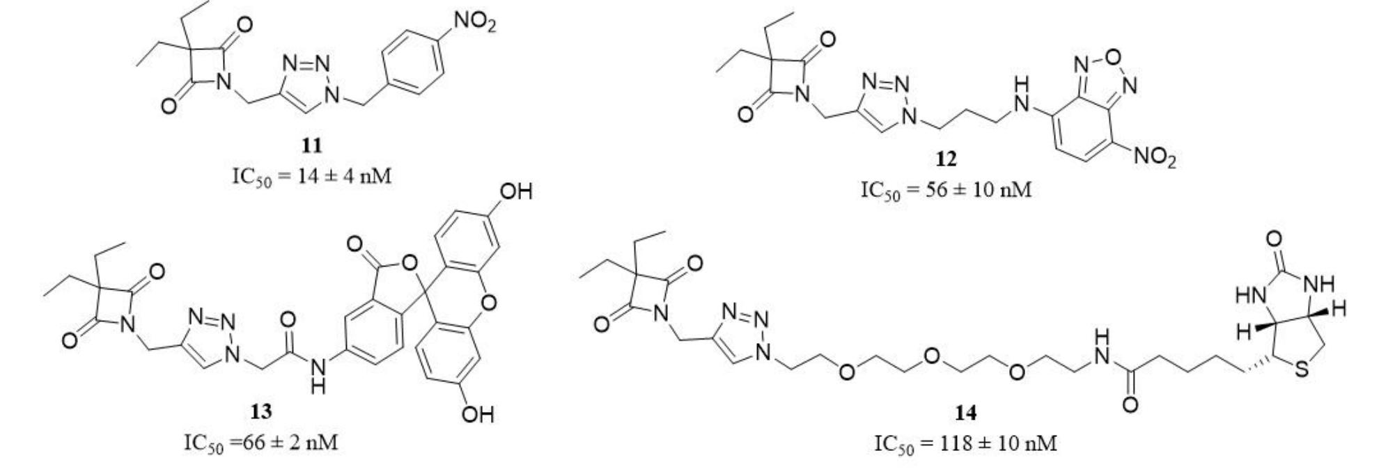 Structures of oxo-b-lactam hne inhibitors“? figure 8.
