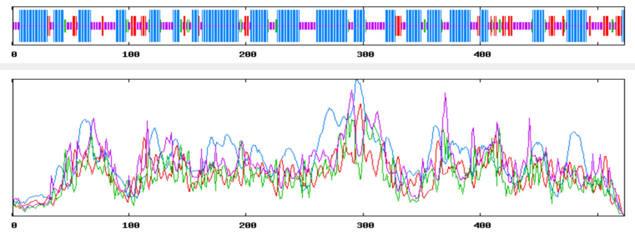 Ig. 6. the diagram of secondary structure of cytochrome p450