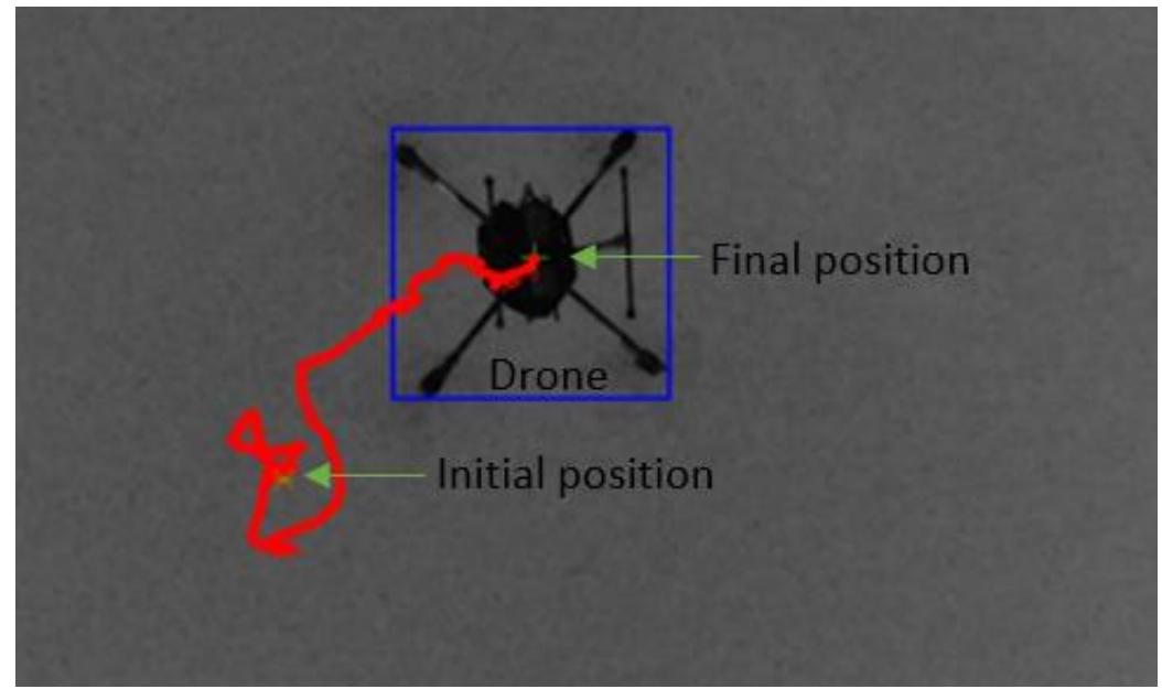 Sample frame capture of object detection algorithm in matlab