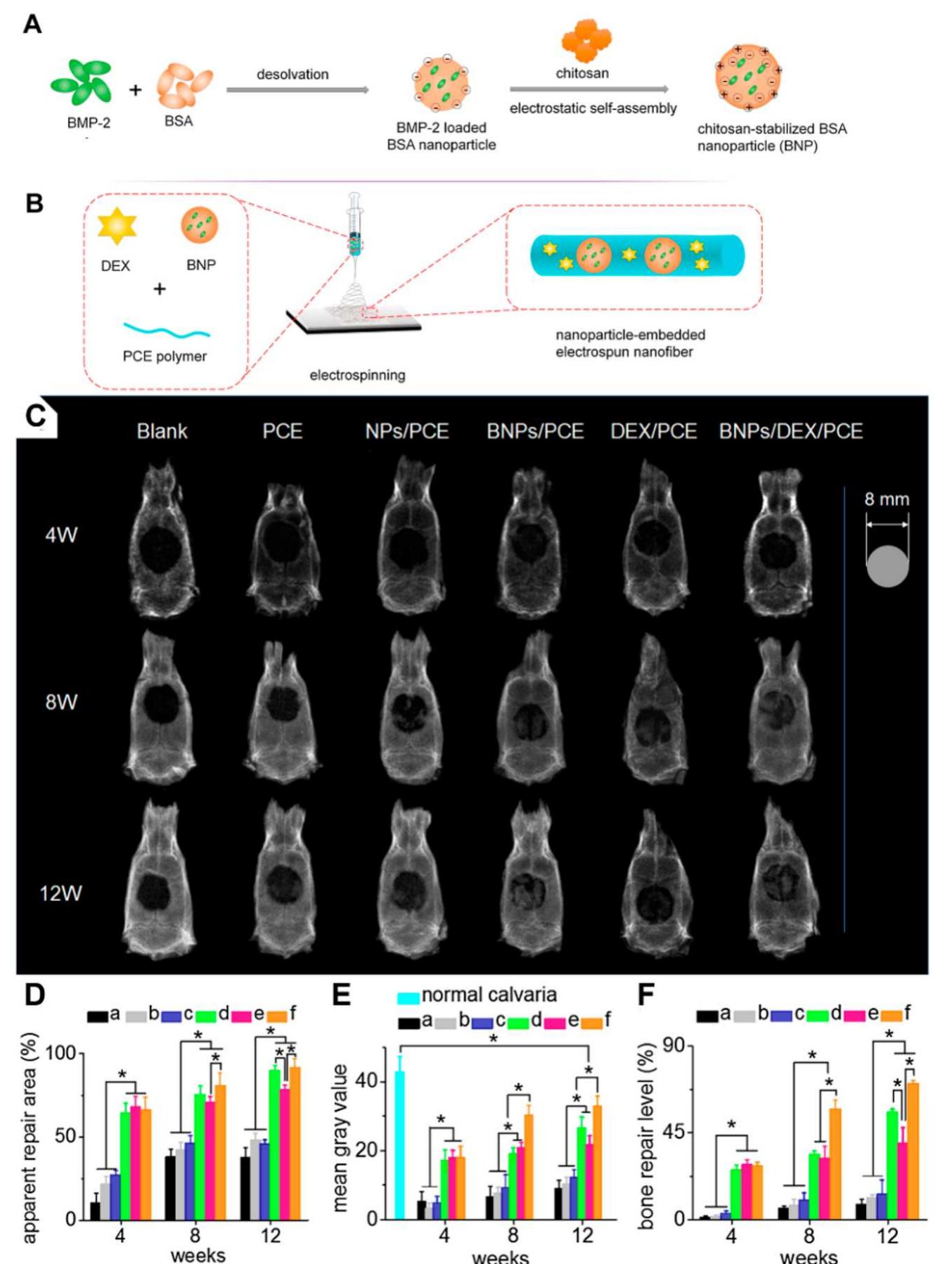 Schematic illustration of (a) the fabrication of