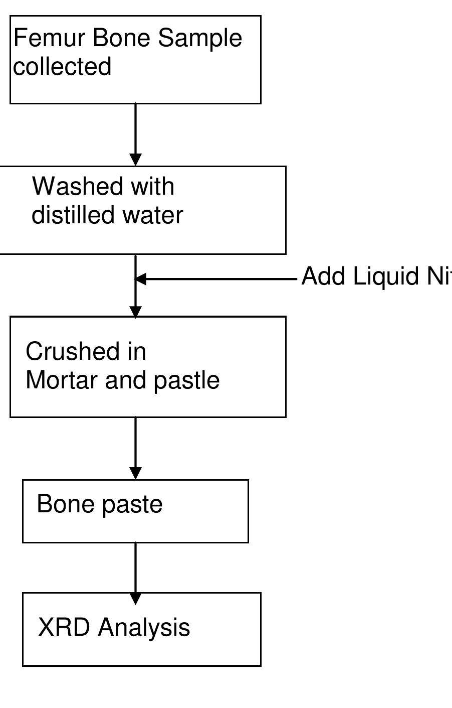 3 preparation of bone paste bone sample was carried out