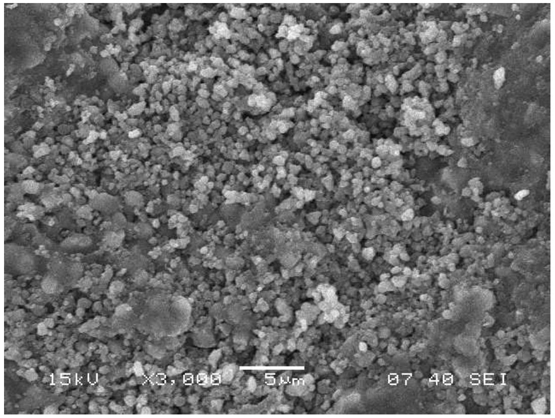 1.11.2 sem micrograph of hap soaked in synthetic body fluid