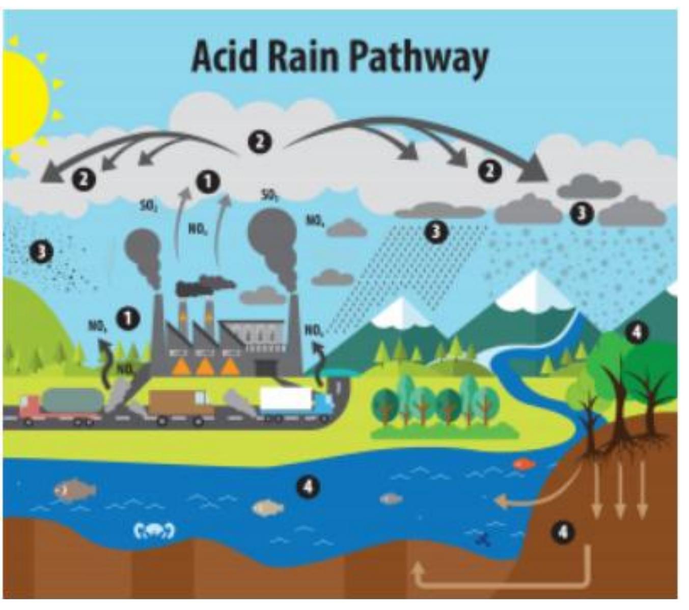 (PDF) A Critical Review of Acid Rain: Causes, Effects, and Mitigation ...