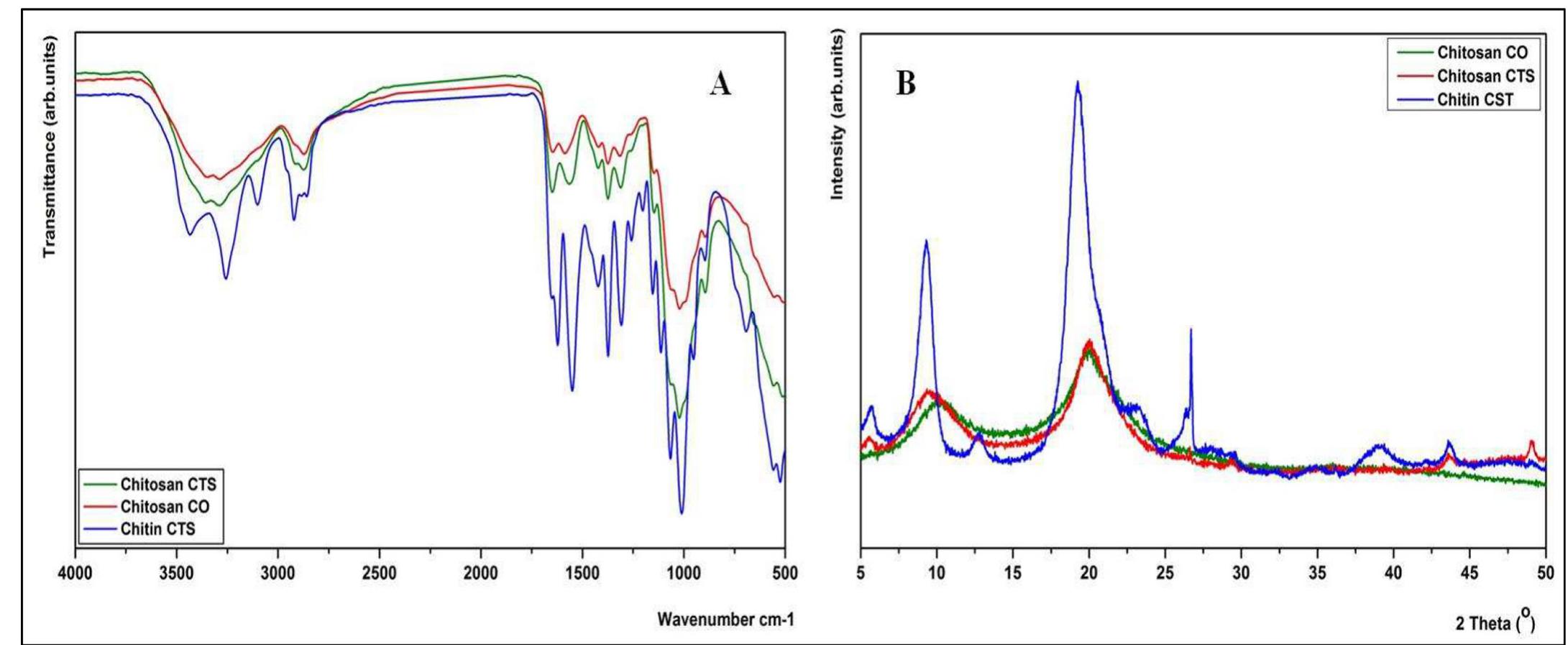 Ftir spectrum (a) and xrd patterns (b) of chitin cst,