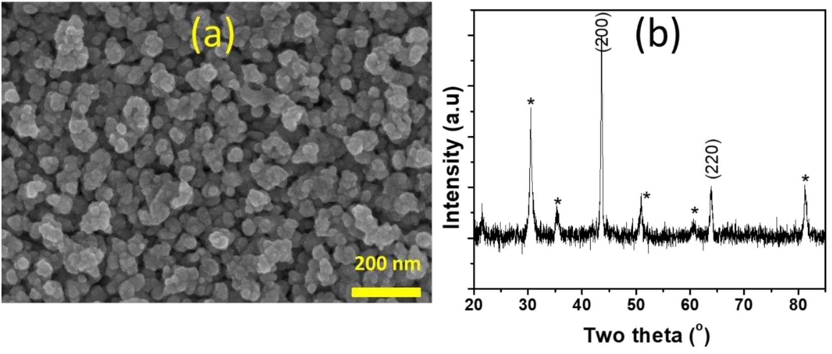 (a) sem image and (b) xrd pattern of nio onto ito substrate