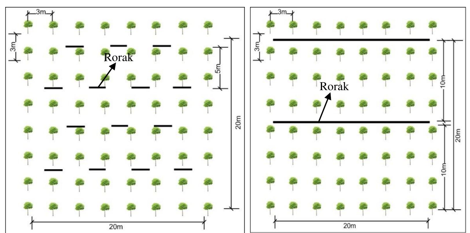 Gambar (figure) 1. perlakuan rorak dengan jarak 5 m dan 10 m
