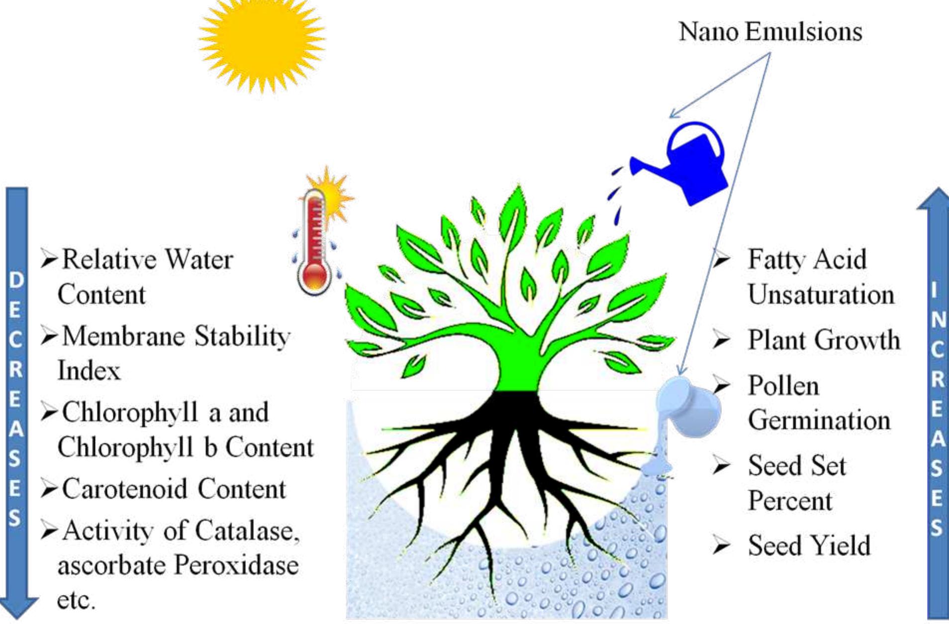 Effect of heat stress and nps application in plants