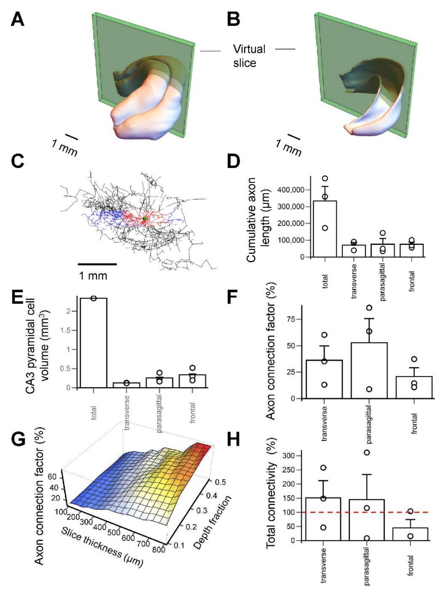Figure 8 - Synaptic mechanisms of pattern completion in the