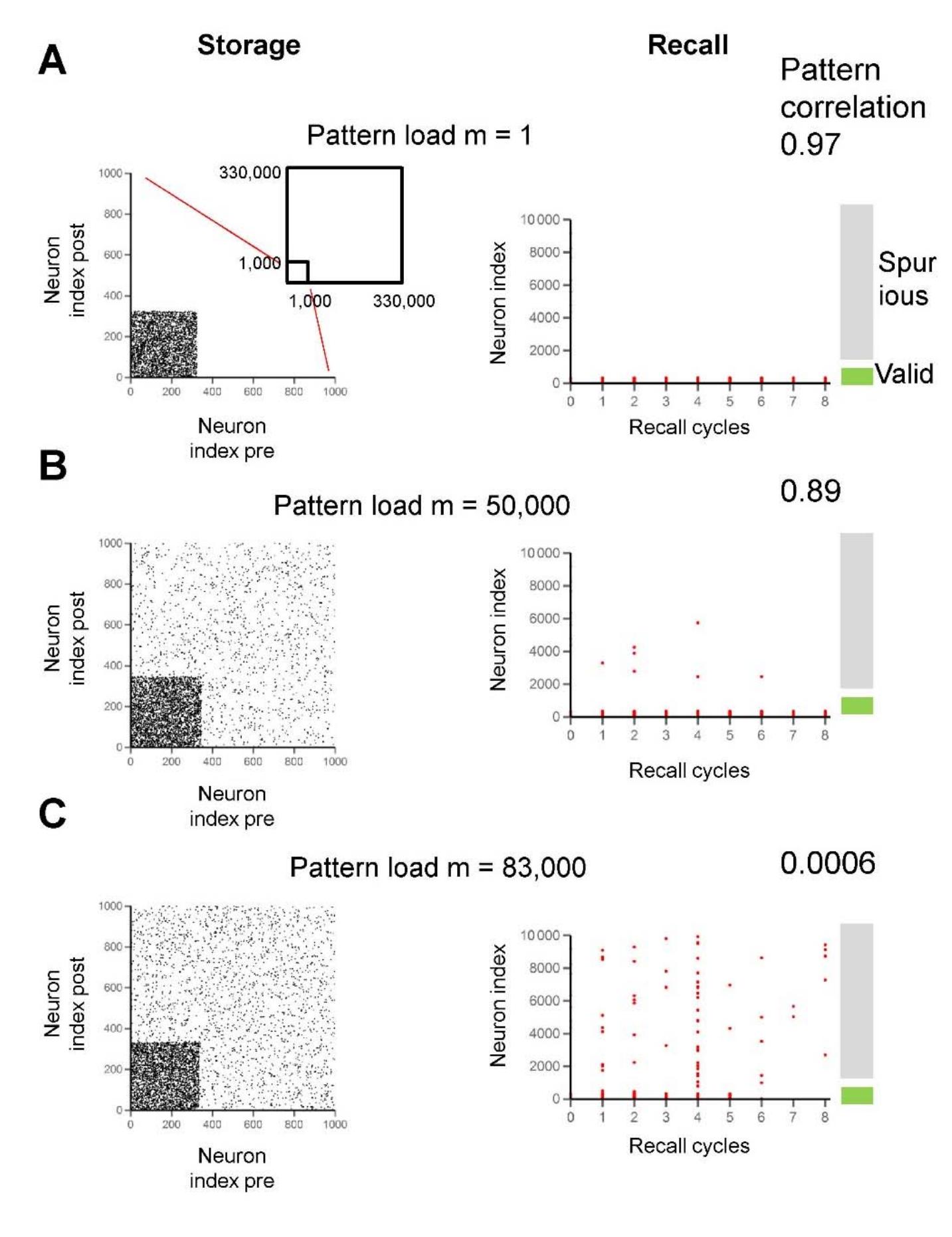 Figure 11 - Synaptic mechanisms of pattern completion in the