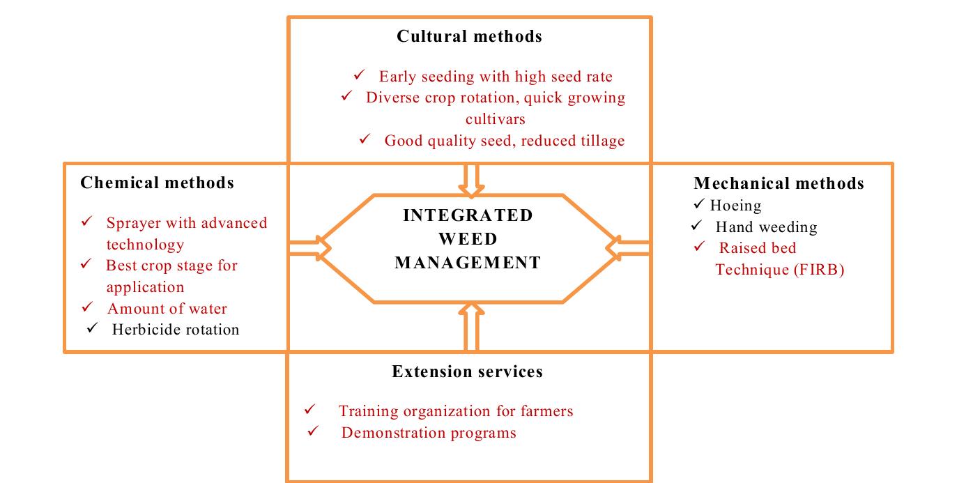 Different approaches of integrated weed management. weed