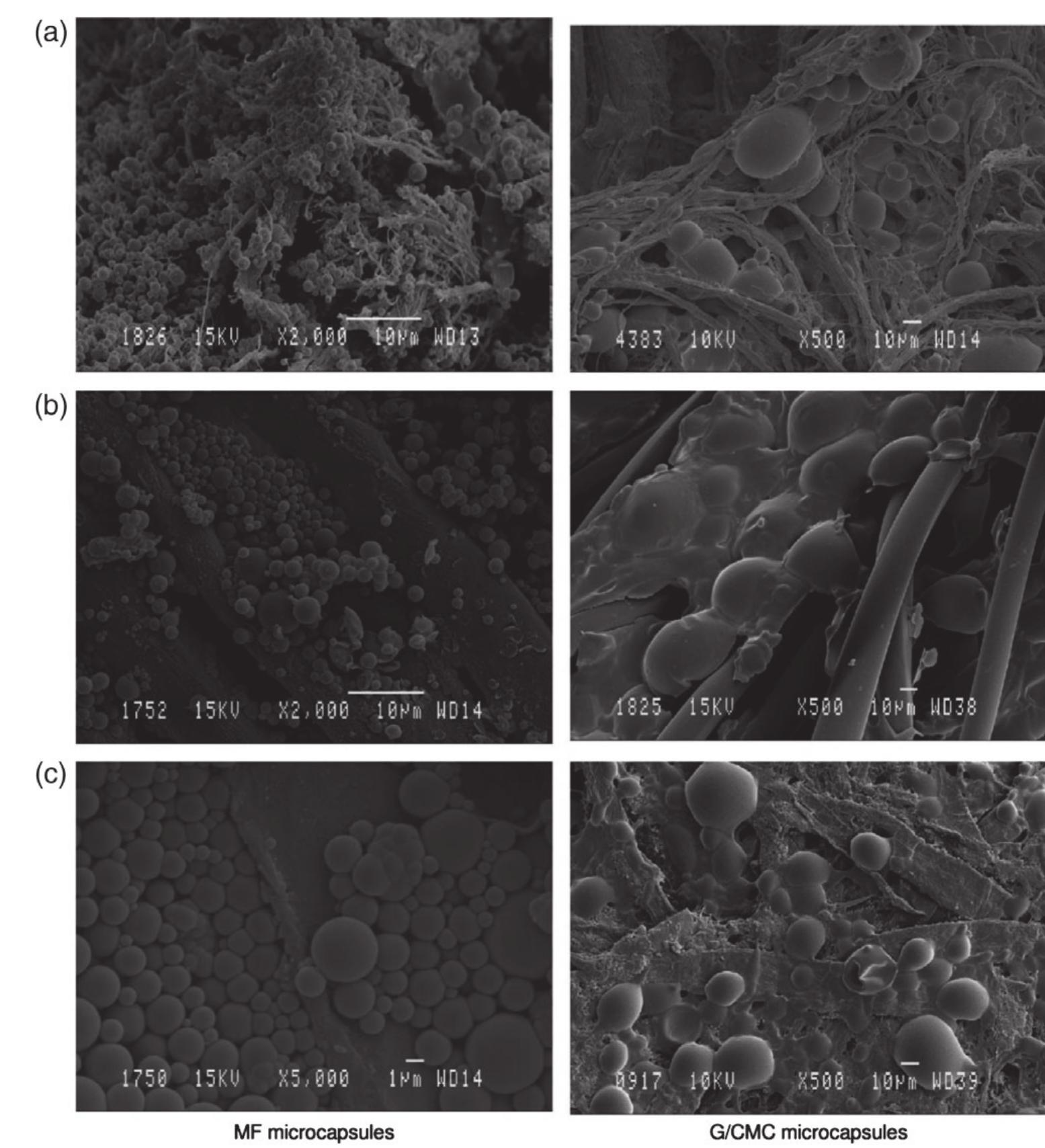 Sem images of the synthesised microcapsules containing