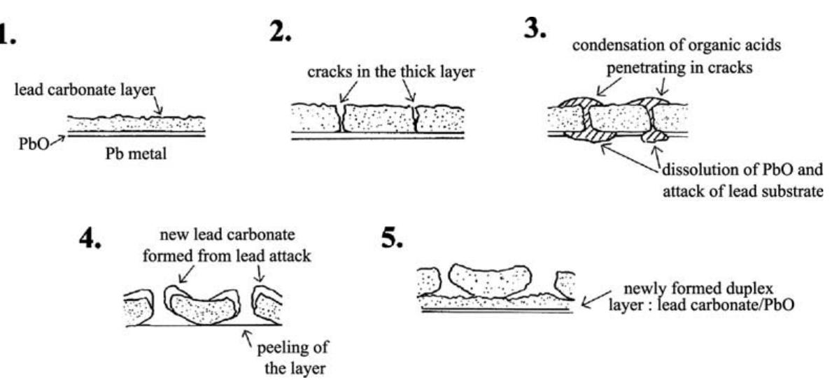 Schematic mechanism of lead corrosion by organic acid