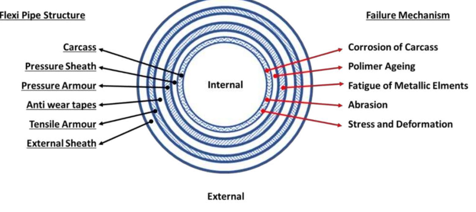 Schematic of flexible pipe and its damage mechanisms the