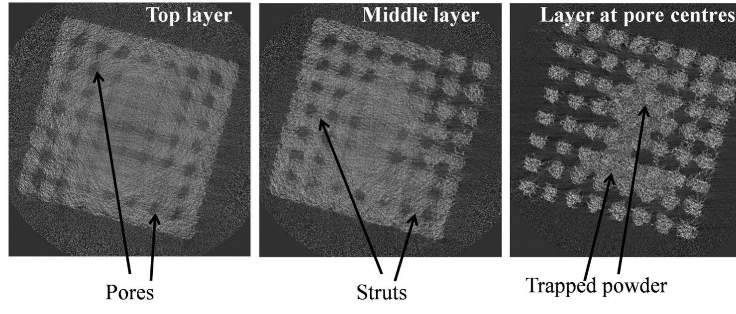 Micro-ct images of vj_p5_5s6 scaffold prototype.