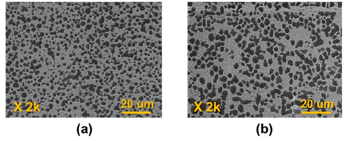 Fe-sem images of (a) extracted organic residue from the