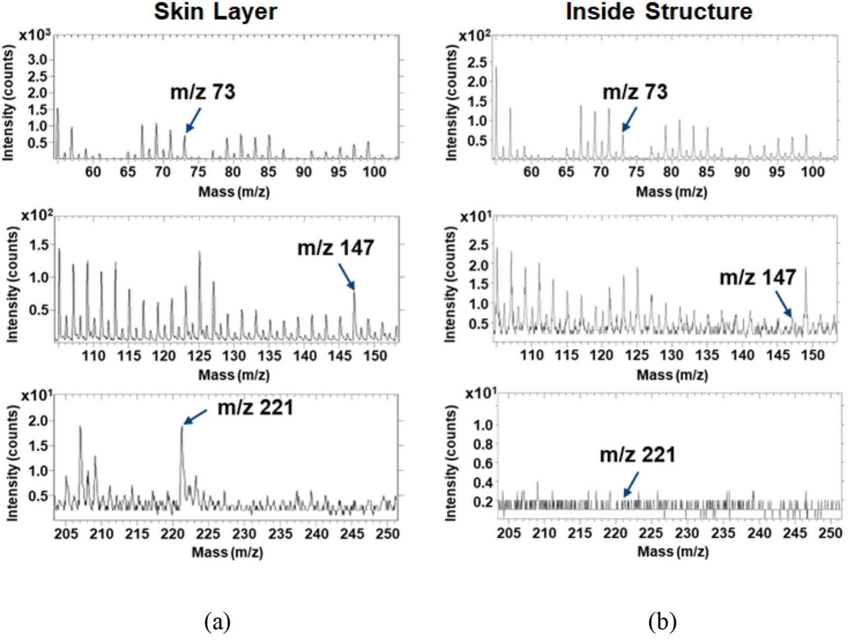 Tof-sims measurements of pdms concentration: (a) the skin