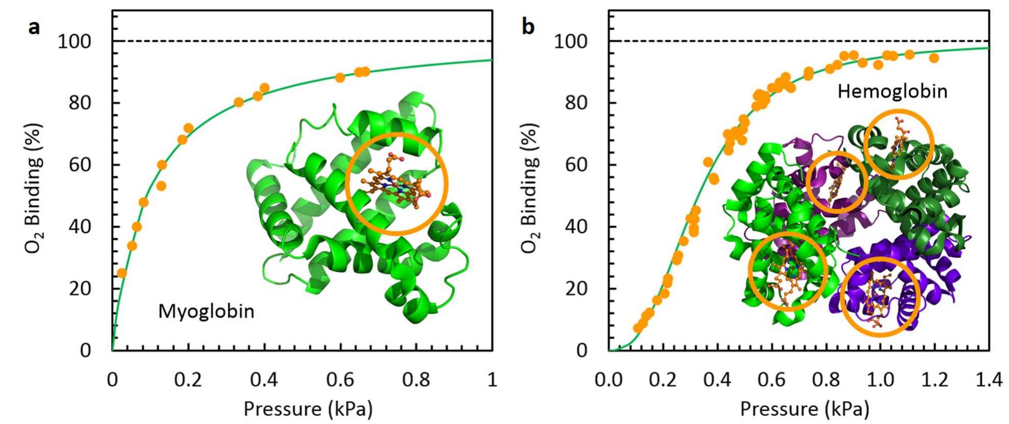 (PDF) Langmuir’s Theory of Adsorption: A Centennial Review