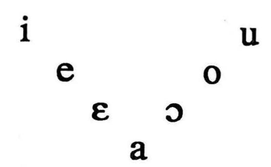 A schematic representation of italian vowels.
