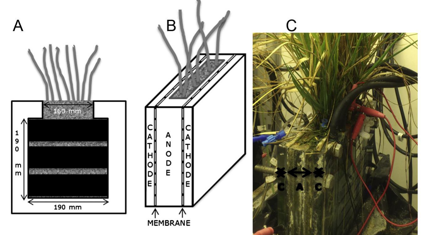 Schematic overview of a cross section of the anode (a), the