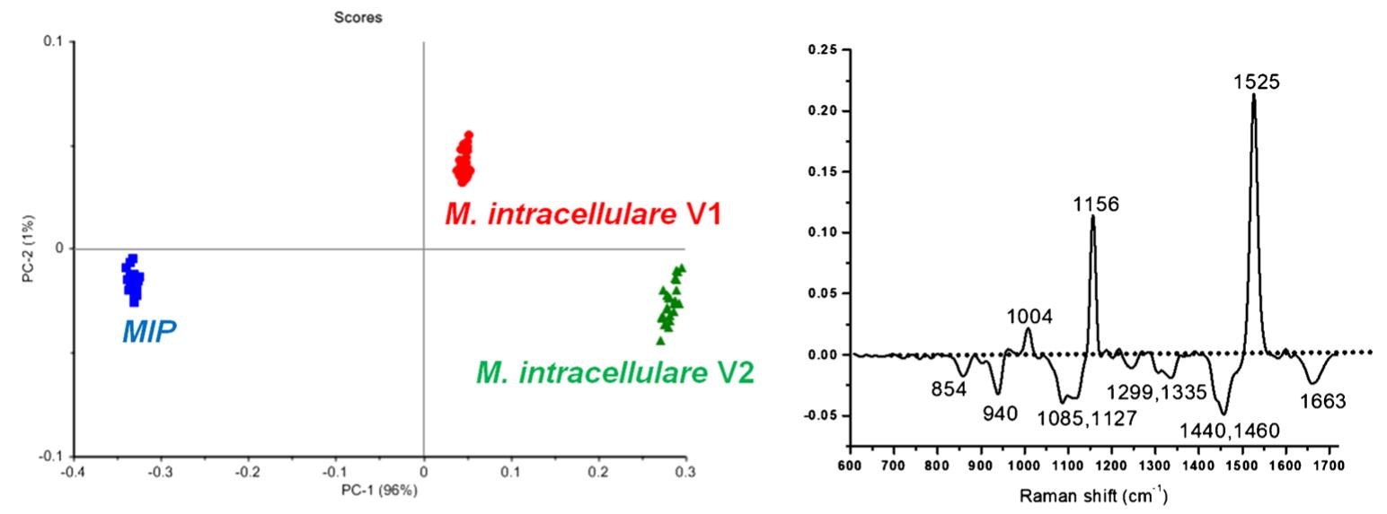 B principal component analysis performed for late log/early