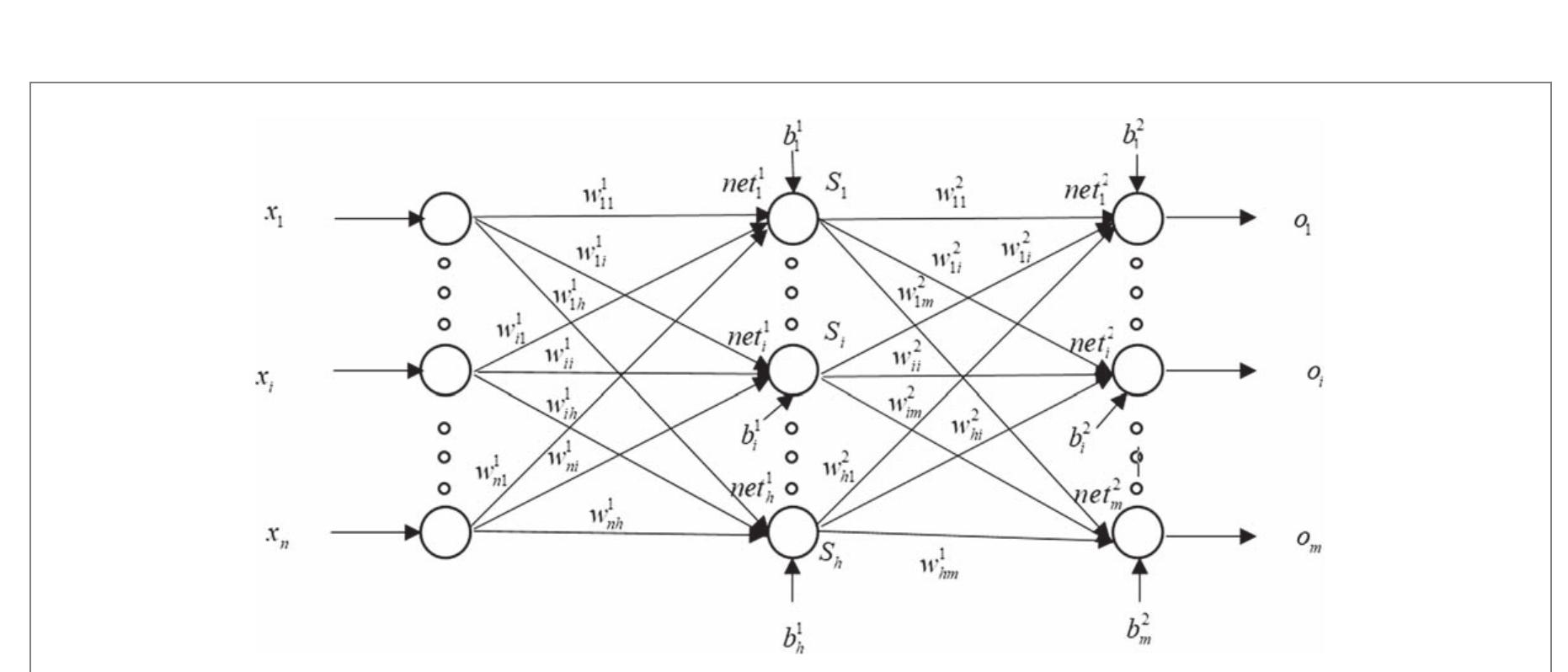 The general structure of a feed forward ann. figure 1.