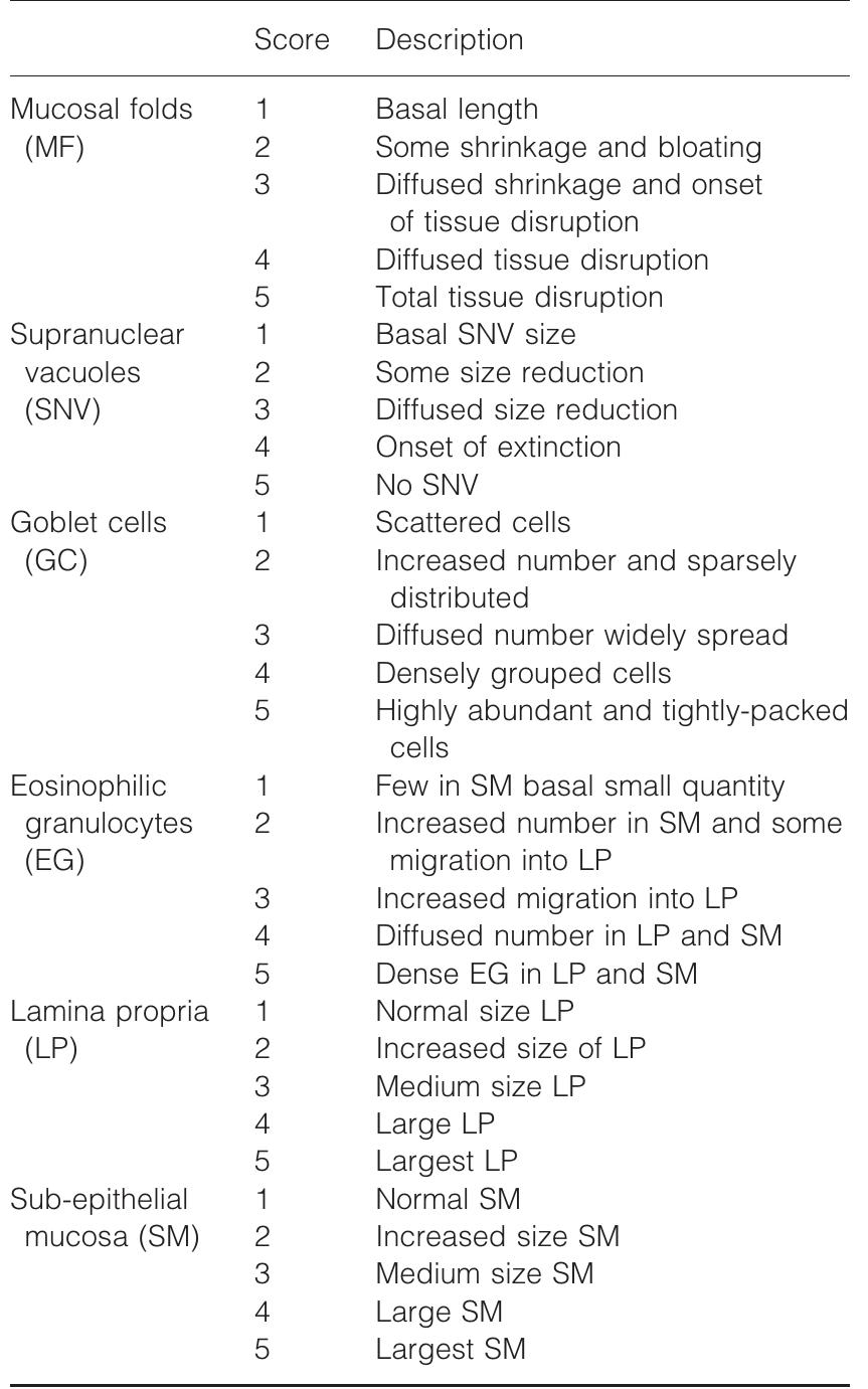 Semi-quantitative scoring system for the different
