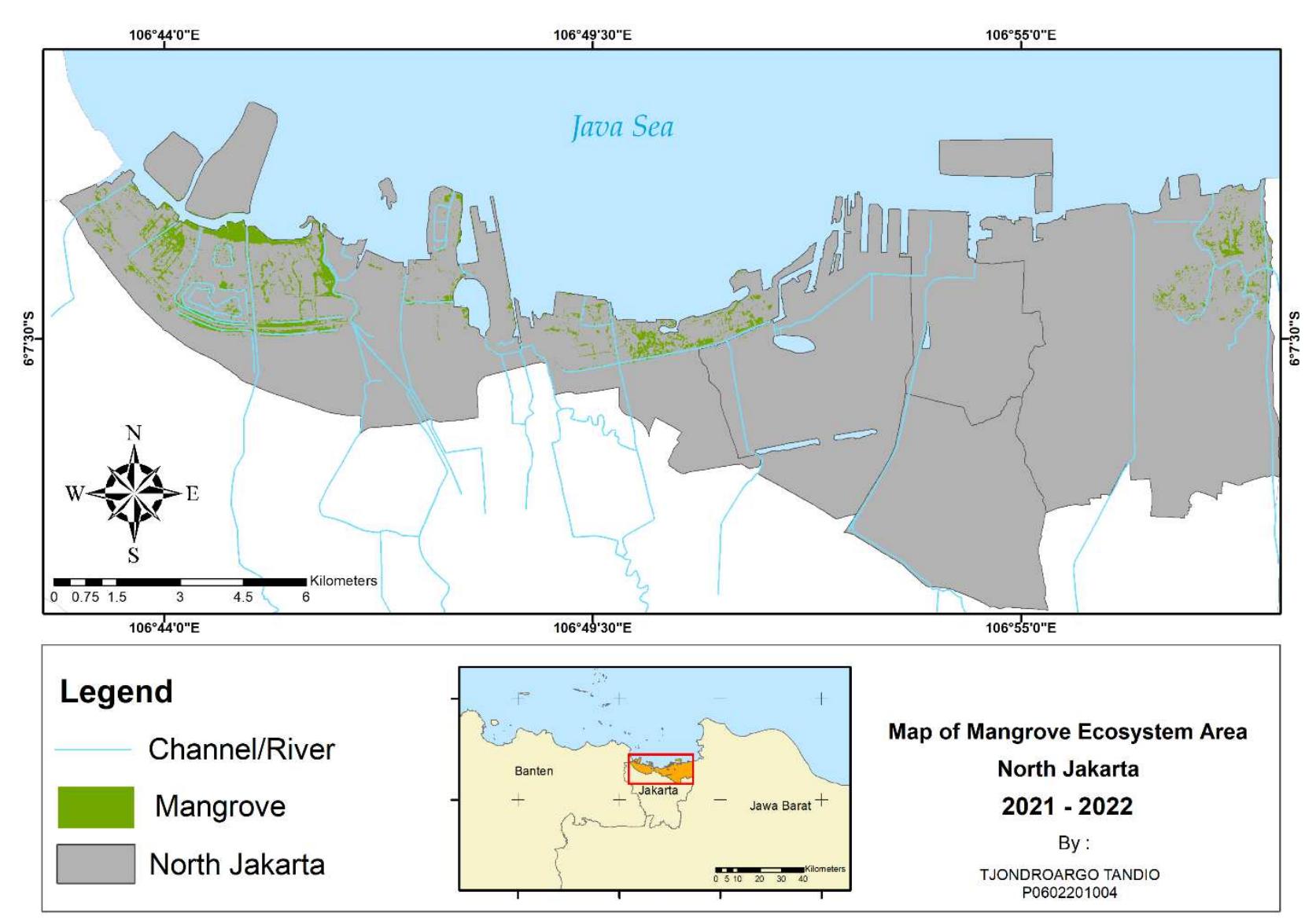 Figure 1 - Identification of Key Actors in Mangroves