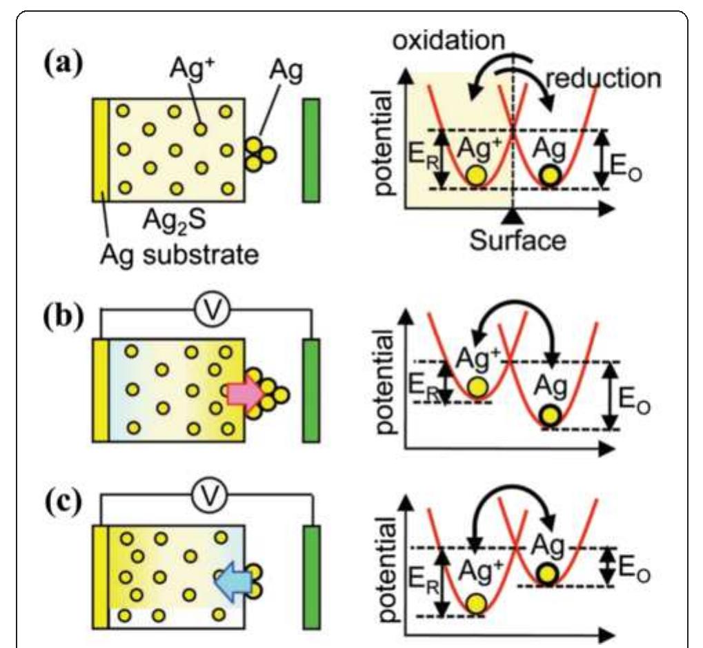 Simple schematic diagrams of the mechanism of ag nanowire