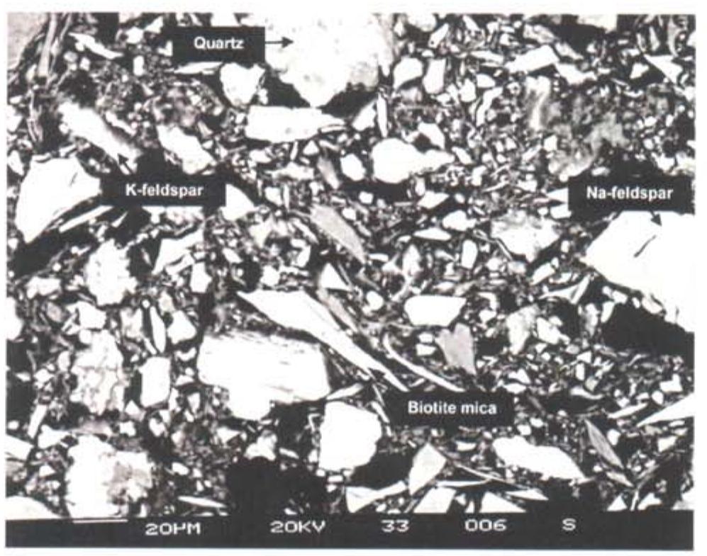 B3) sem (scanning electron microscope) photomicrograph of