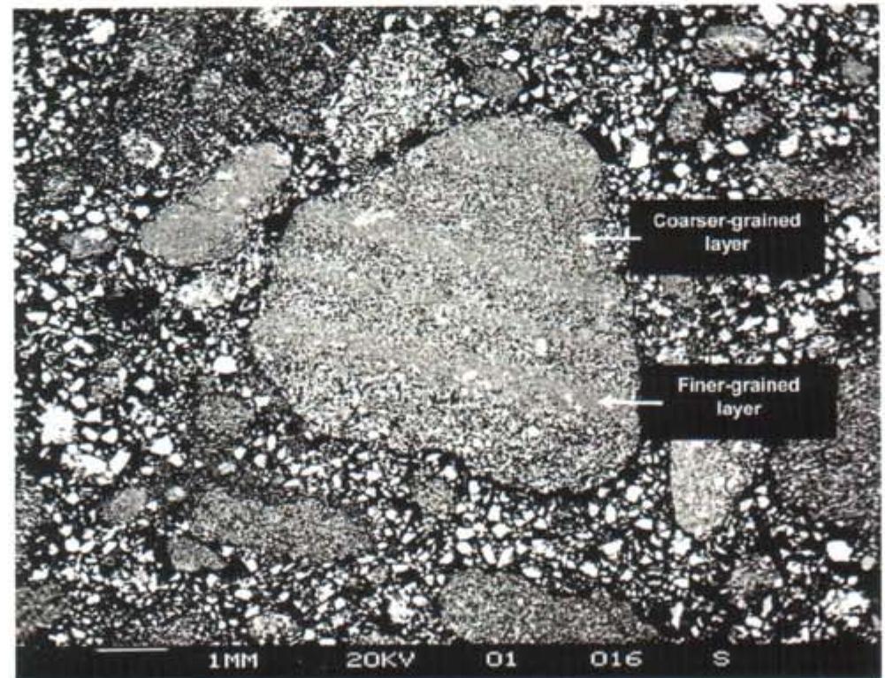 C4 sem (scanning electron microscope) photomicrograph of